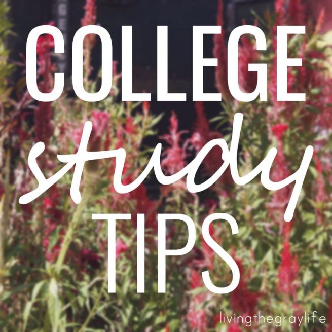 College Study Tips - Living the Gray Life